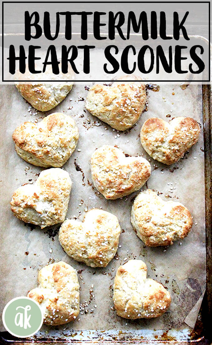 Cranberry-Orange "Snow" Scones | Alexandra's Kitchen