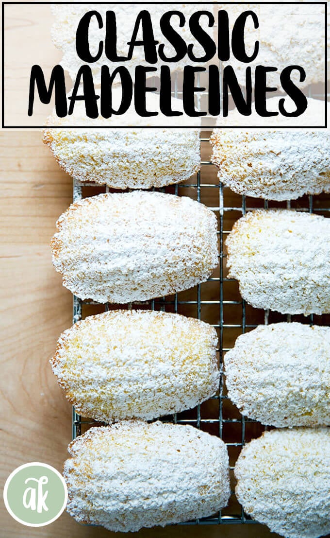 Classic Lemon Madeleines Cookie Recipe | Alexandra’s Kitchen