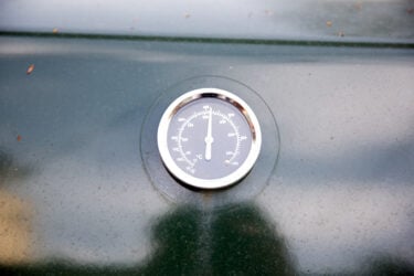 Three-Ingredient Grilled Chicken | Alexandra's Kitchen